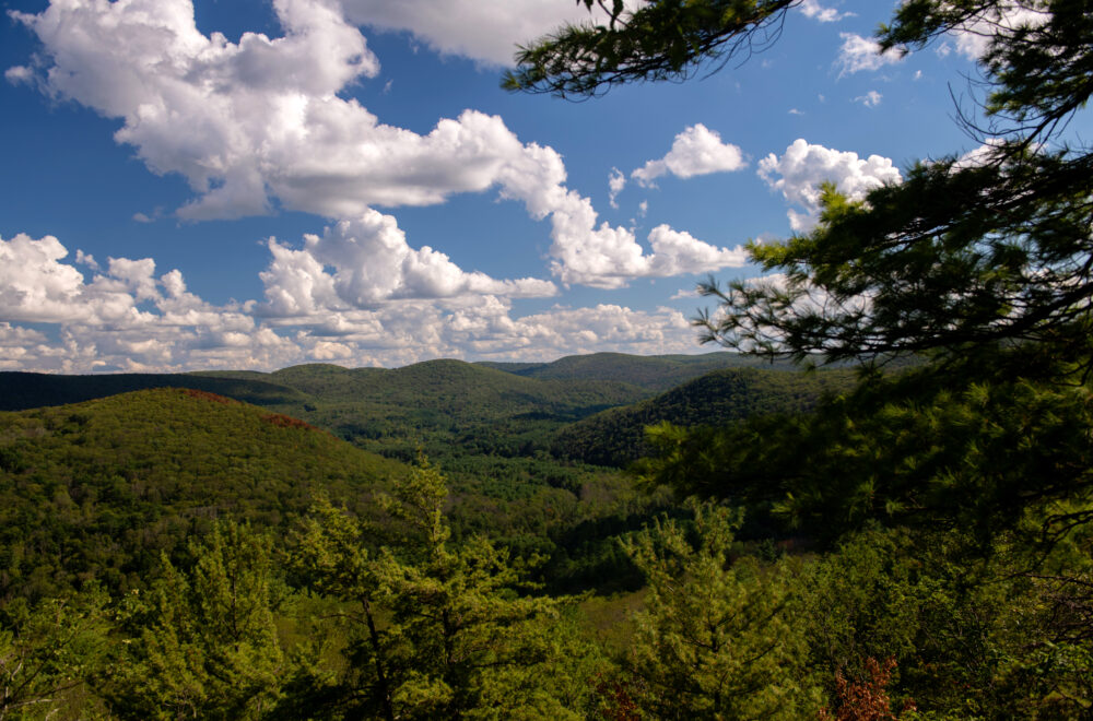 Pine Knob Loop Trail Connecticut Forest And Park Association