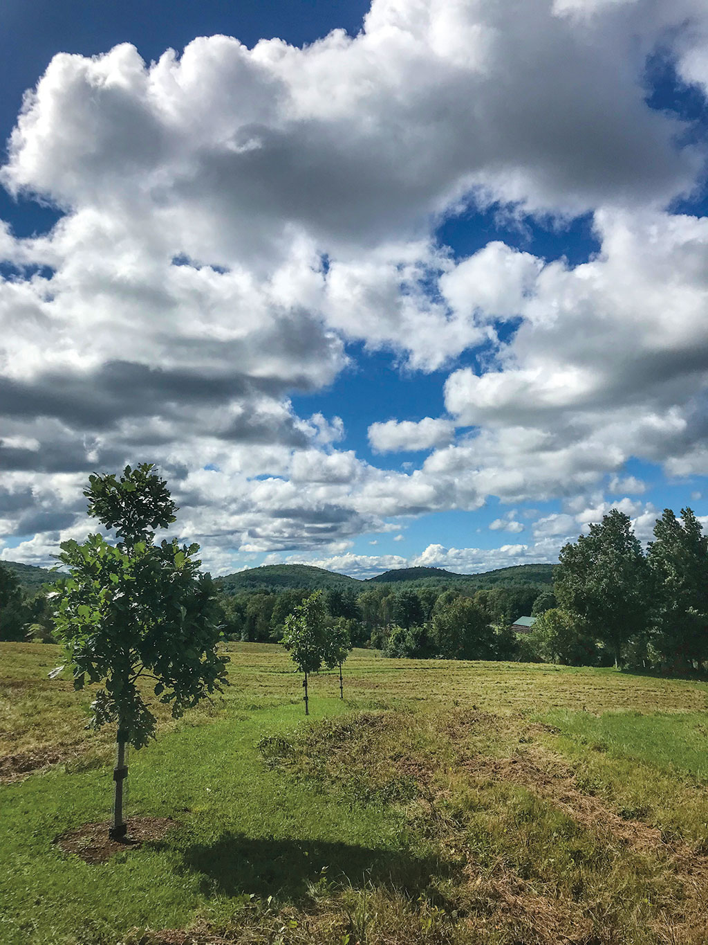 A New Arboretum Takes Root - Connecticut Forest and Park Association