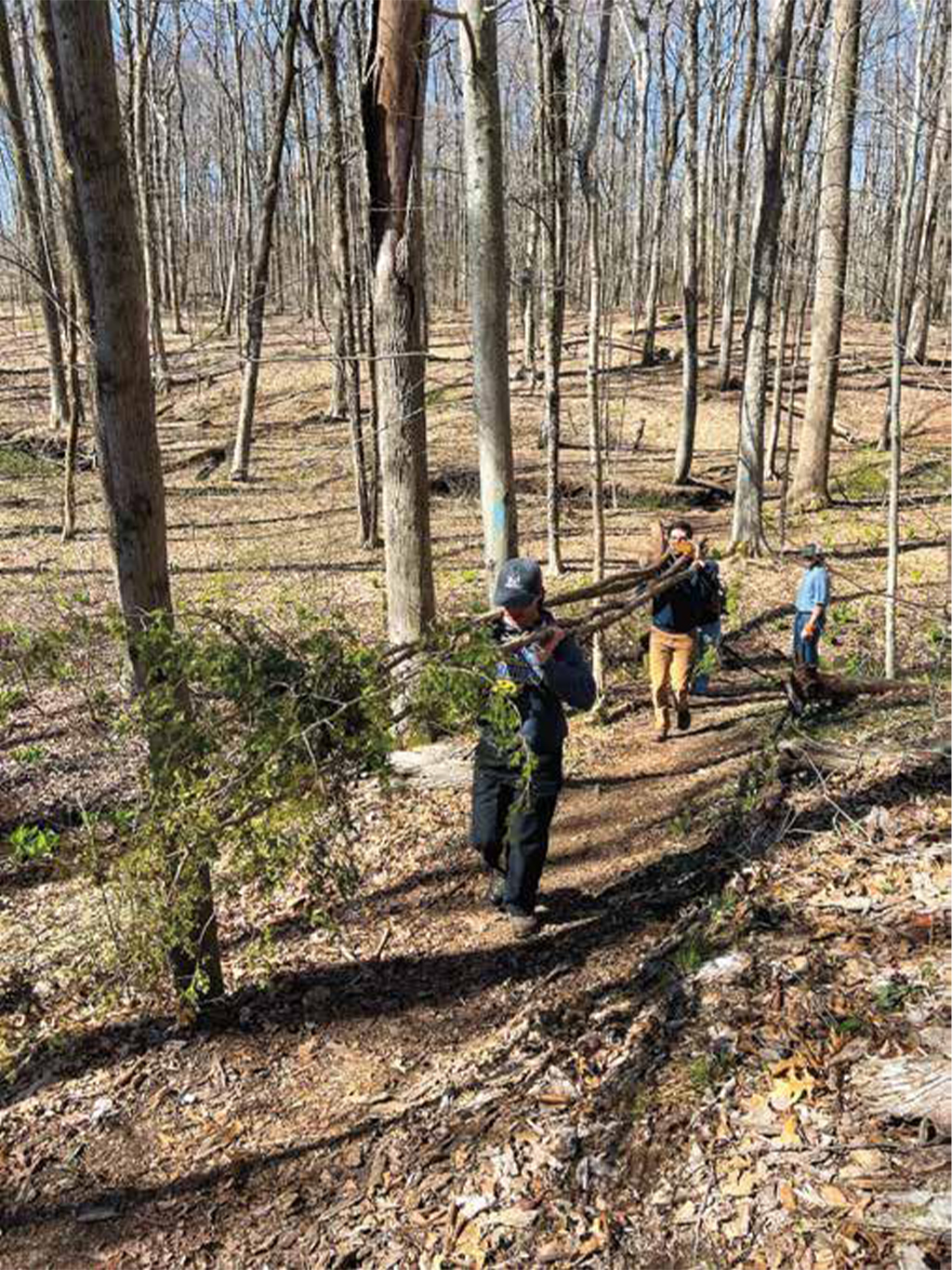 Building on Tradition - Connecticut Forest and Park Association